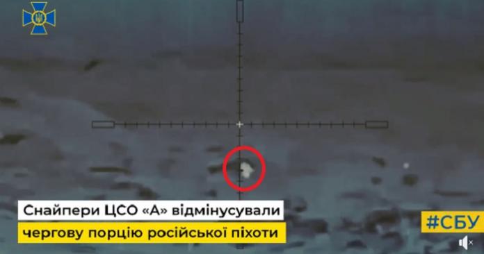 Ідеальну влучність продемонстрували снайпери СБУ на фронті — війна рф ...