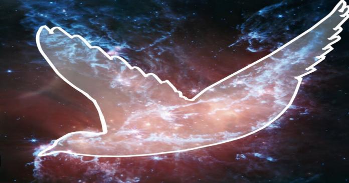 An amazing “space bird” was captured by a NASA telescope in a ...