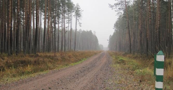 В Сумской области запретили движение автомобилей по участкам дорог в ...